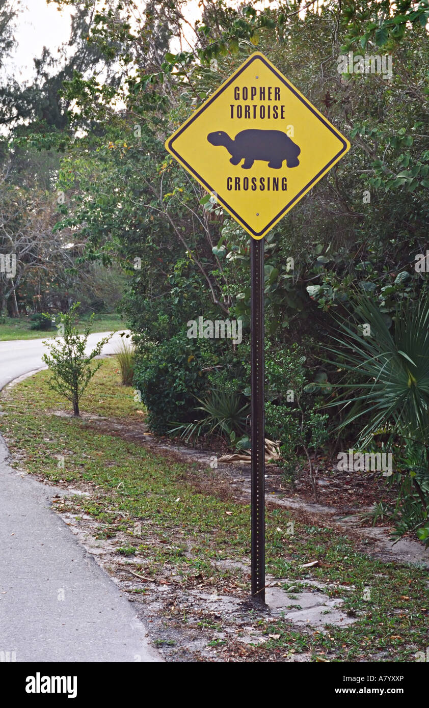 North America, USA, Florida, Sanibel Island. A tortoise crossing sign ...