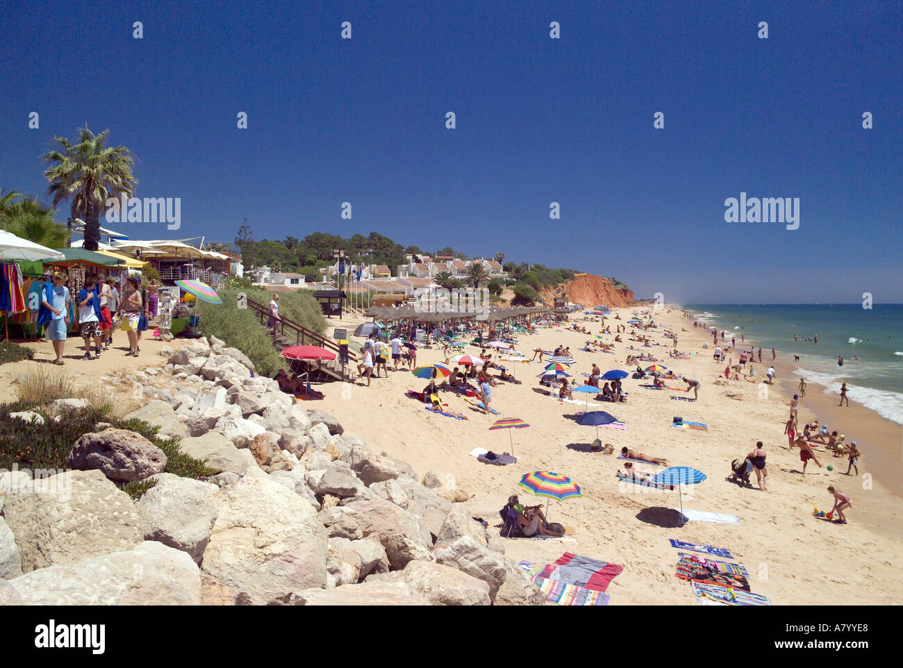 Lobo hi-res stock photography and images - Alamy