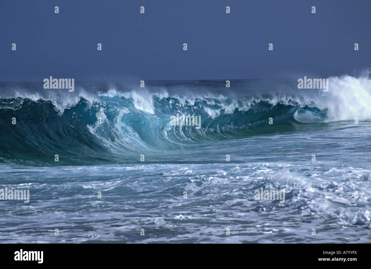 North America, Hawaii, Oahu. A beautiful wave on the north shore of ...
