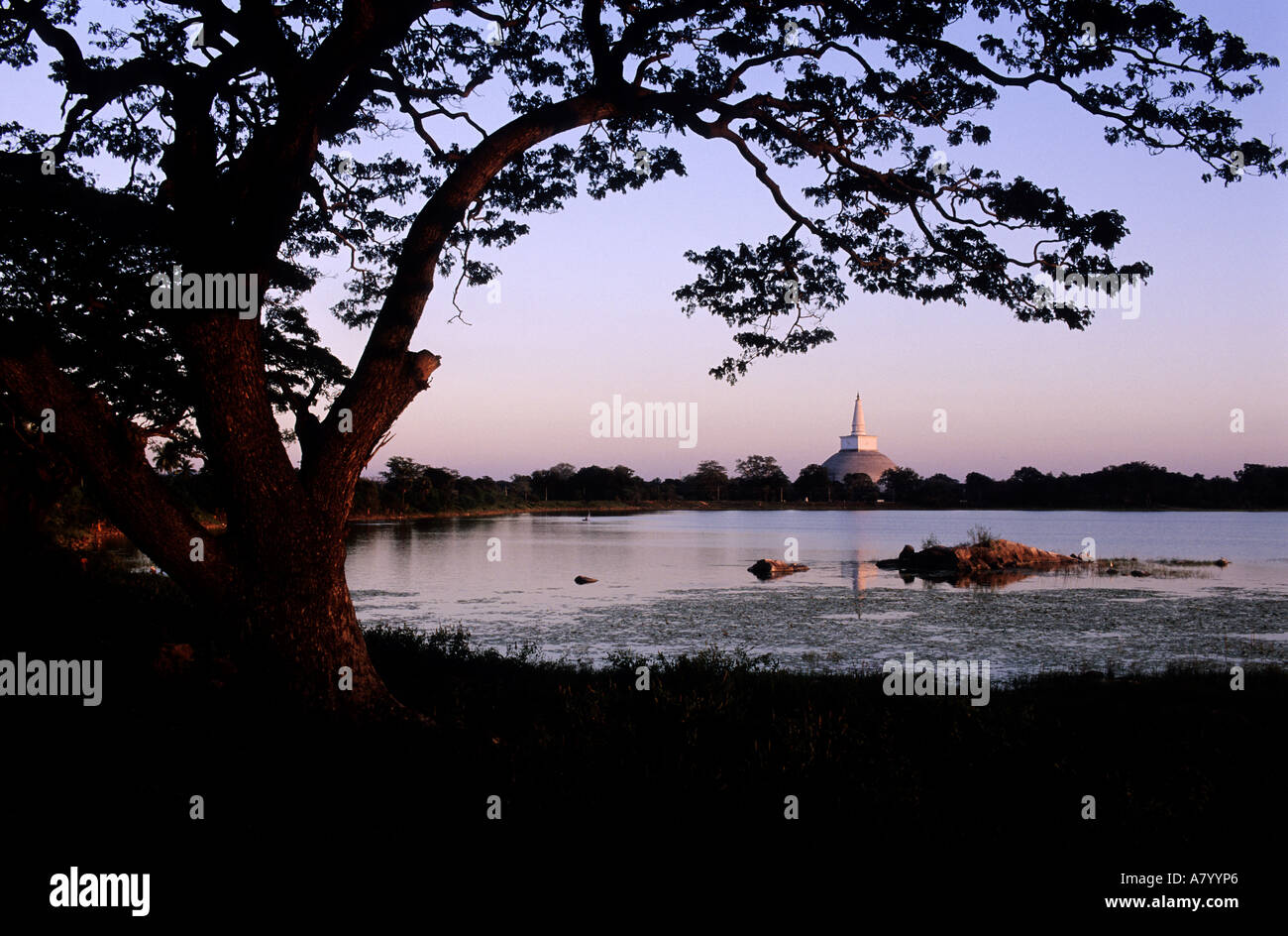 Sri Lanka, North Central region, Anuradhapura, Basawak Kulama lake ...