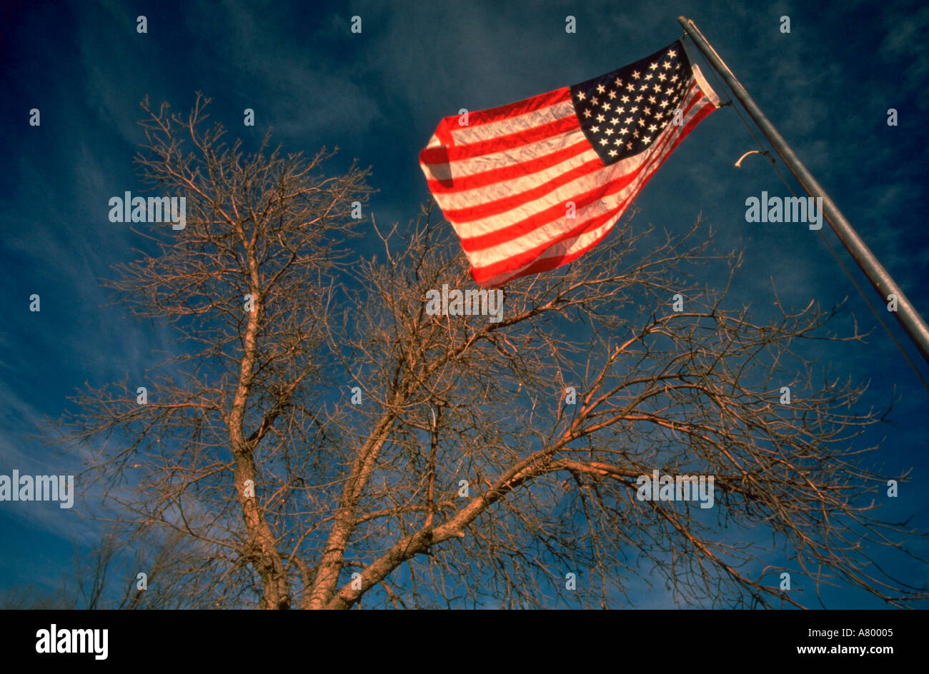 Us military values hi-res stock photography and images - Alamy