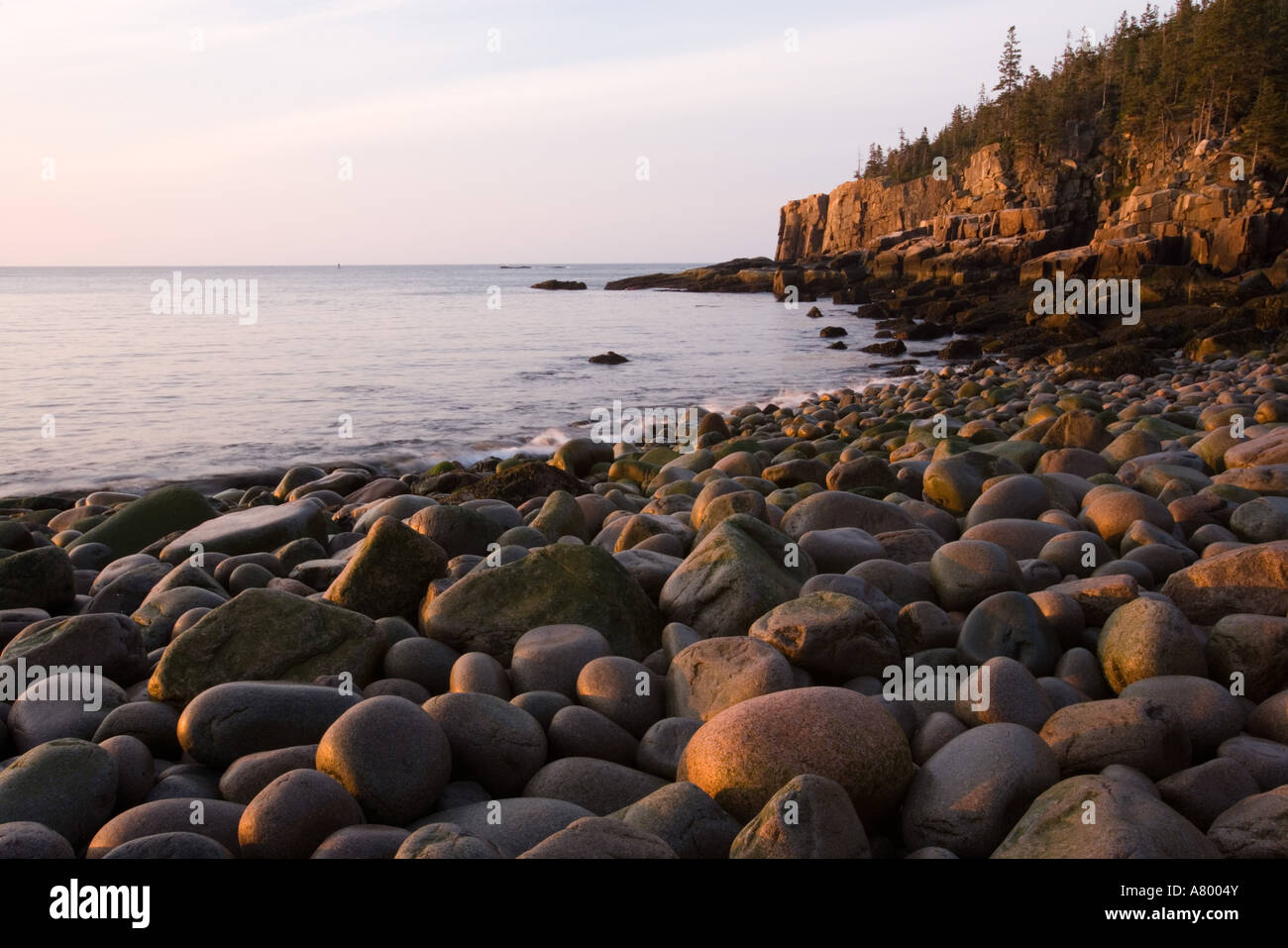 Acadia monument cove cobble beach hi-res stock photography and images ...