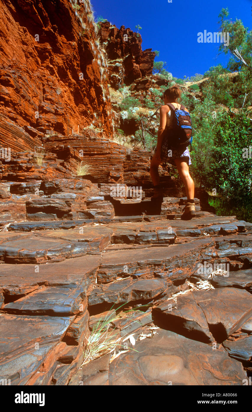 AUSTRALIA WESTERN AUSTRALIA KARAJINI NATIONAL PARK Girl bush walker ...