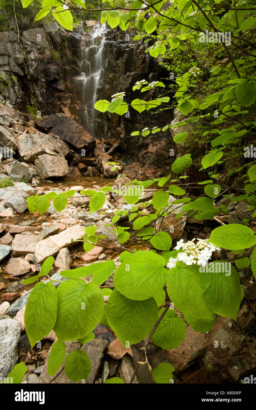 A waterfall near Waterfall Bridge. Part of the carriage road system in ...