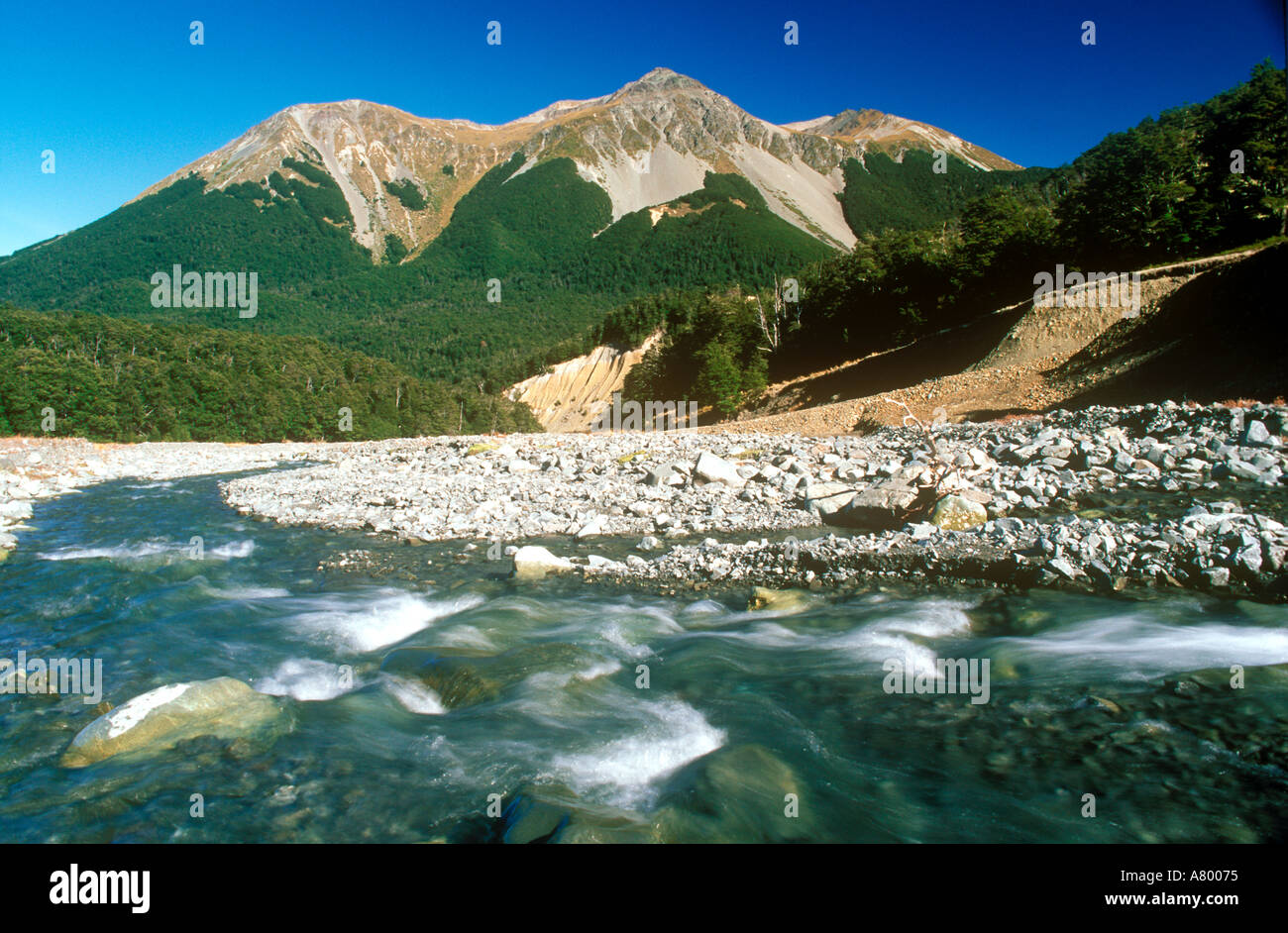 NEW ZEALAND CANTERBURY CRAIGIEBURN FOREST PARK Braided river close to ...