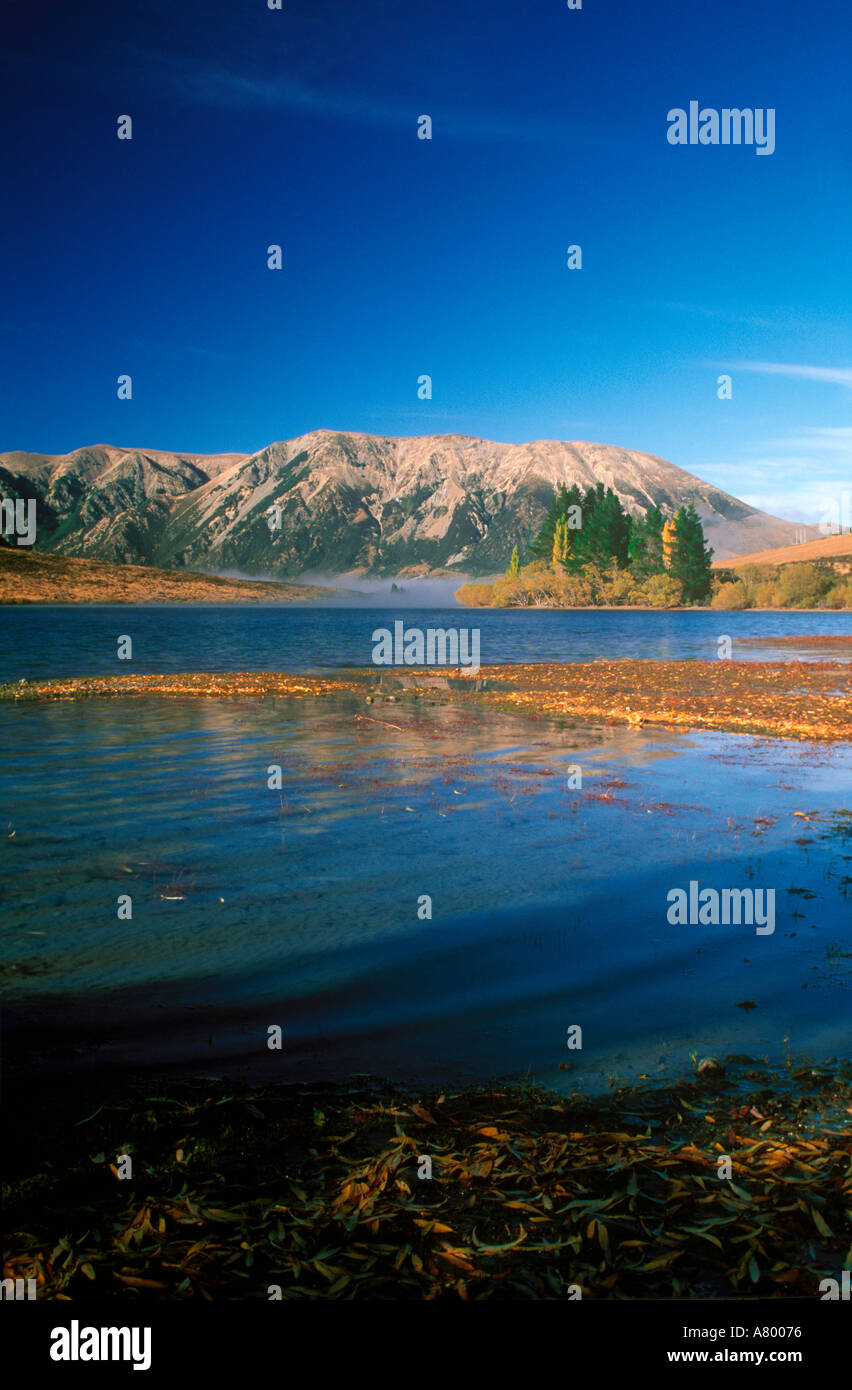 NEW ZEALAND CANTERBURY CRAIGIEBURN The golden autumn colours of Lake ...
