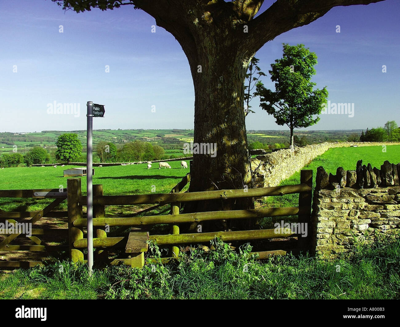 Nestle signs hi-res stock photography and images - Alamy