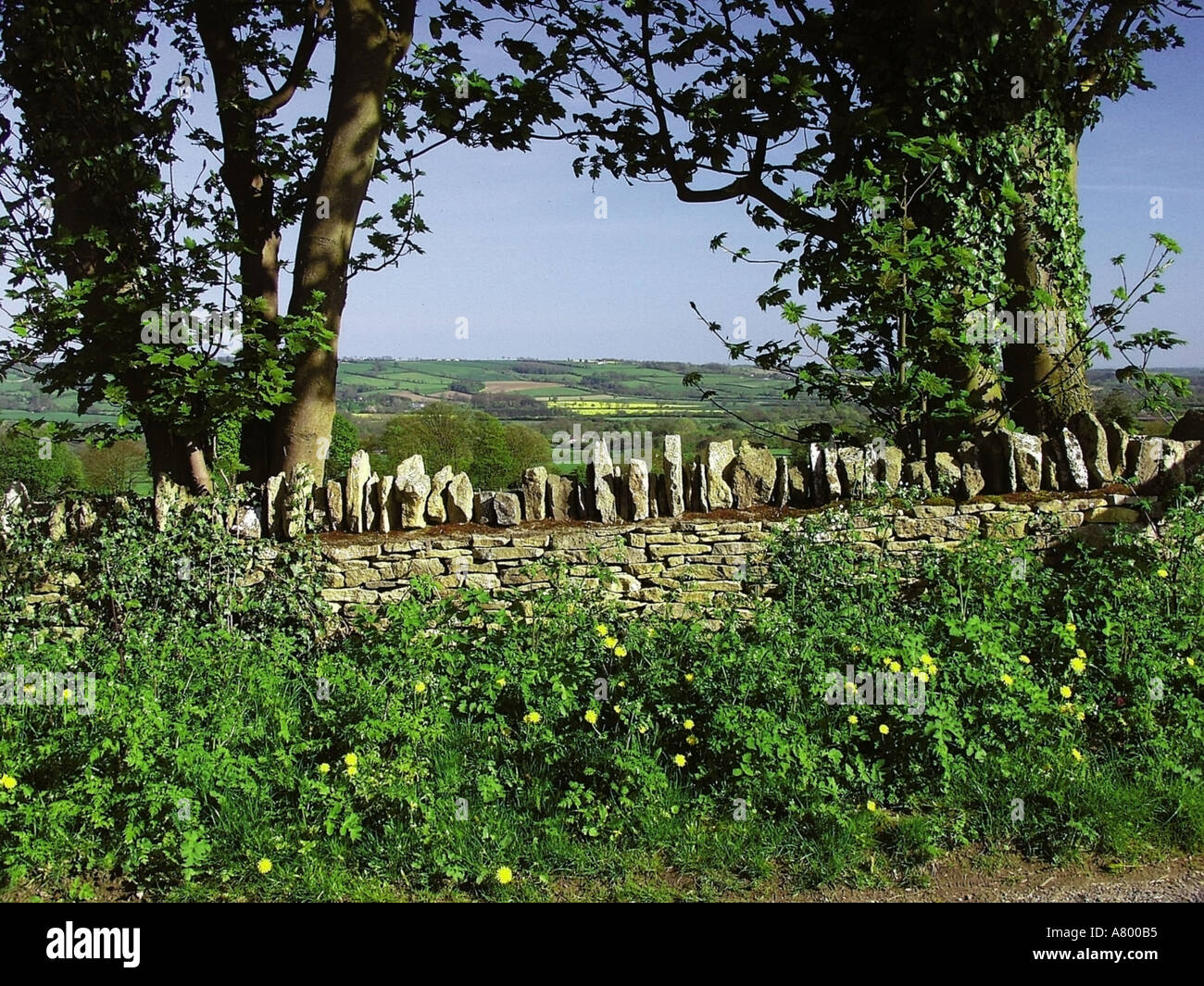 Nestle signs hi-res stock photography and images - Alamy