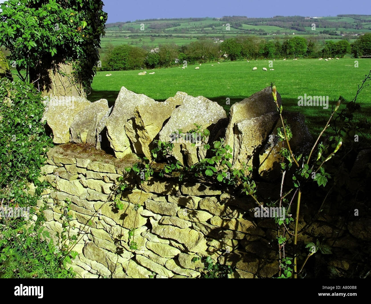 Nestle signs hi-res stock photography and images - Alamy