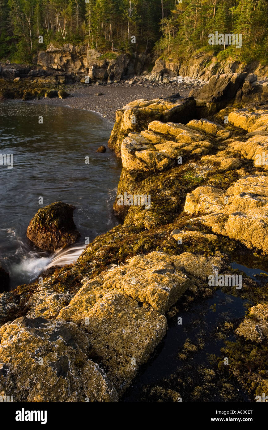 The rocks at Dorrs Point in Maine USA Stock Photo - Alamy