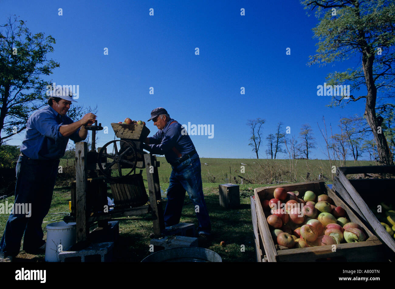 Cider history hi-res stock photography and images - Alamy