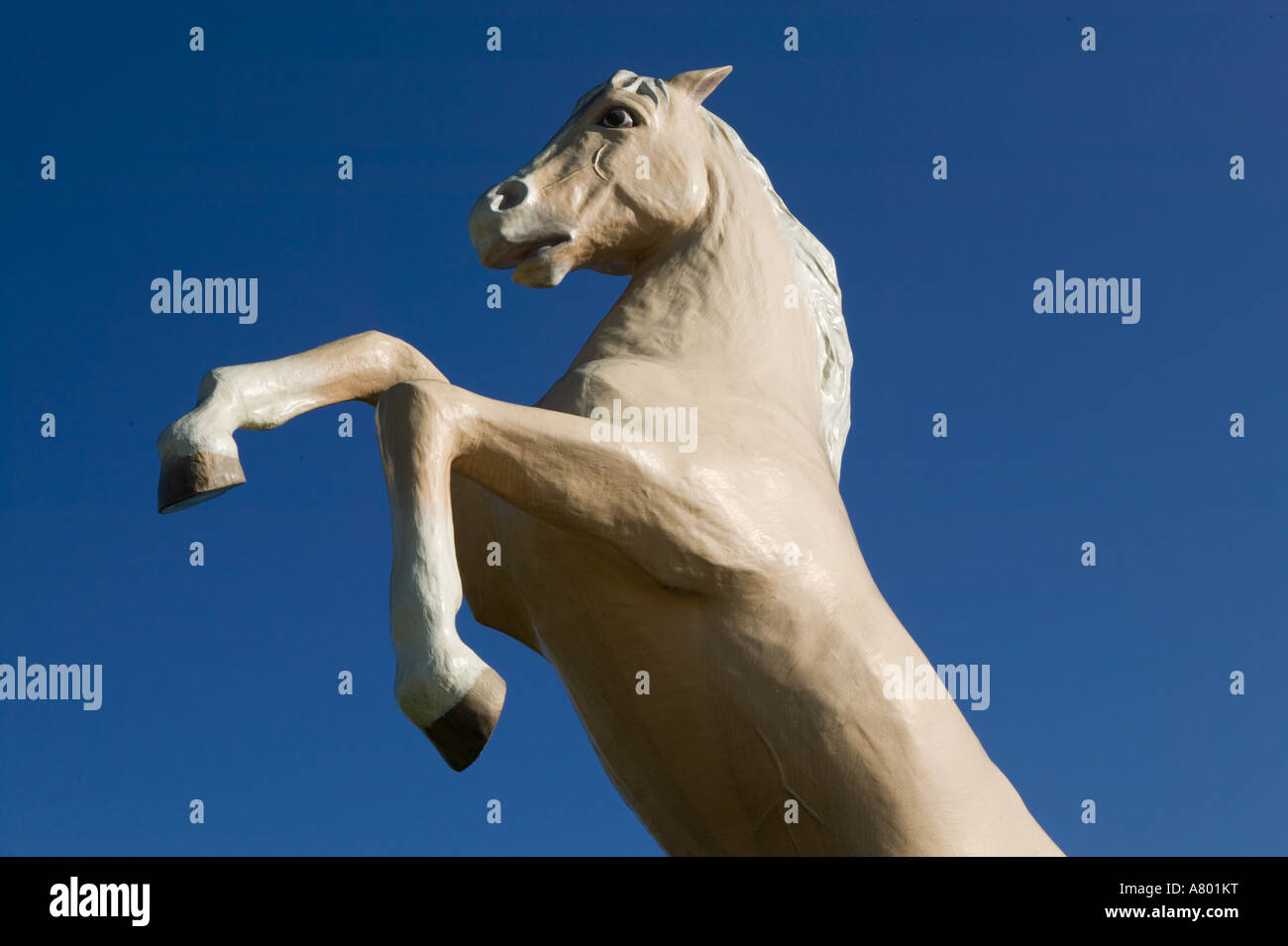 Roy rogers and trigger hi-res stock photography and images - Alamy