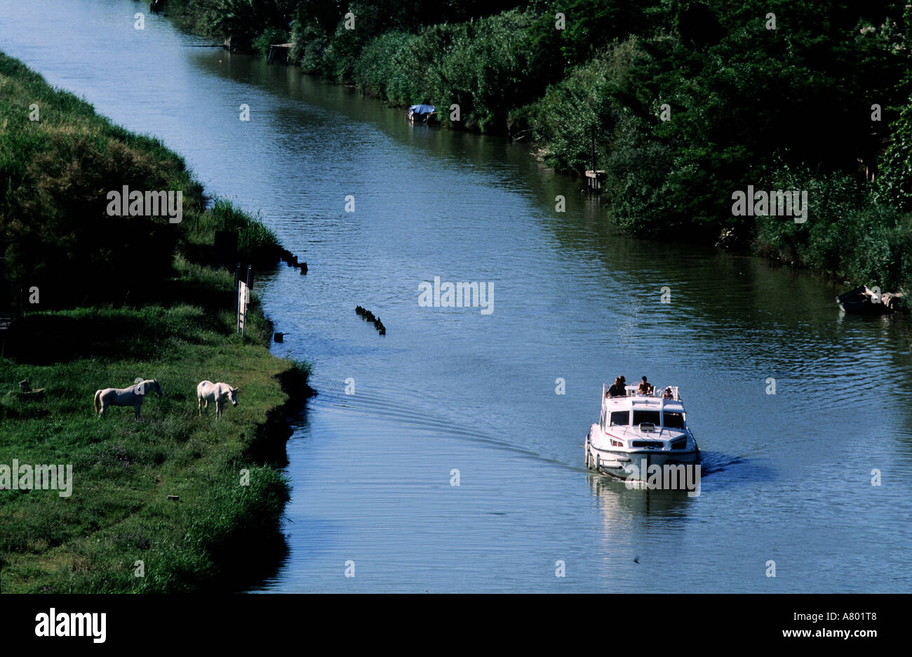 France, Gard, Aigues-Mortes town, canal of the Rhône river in Sete ...