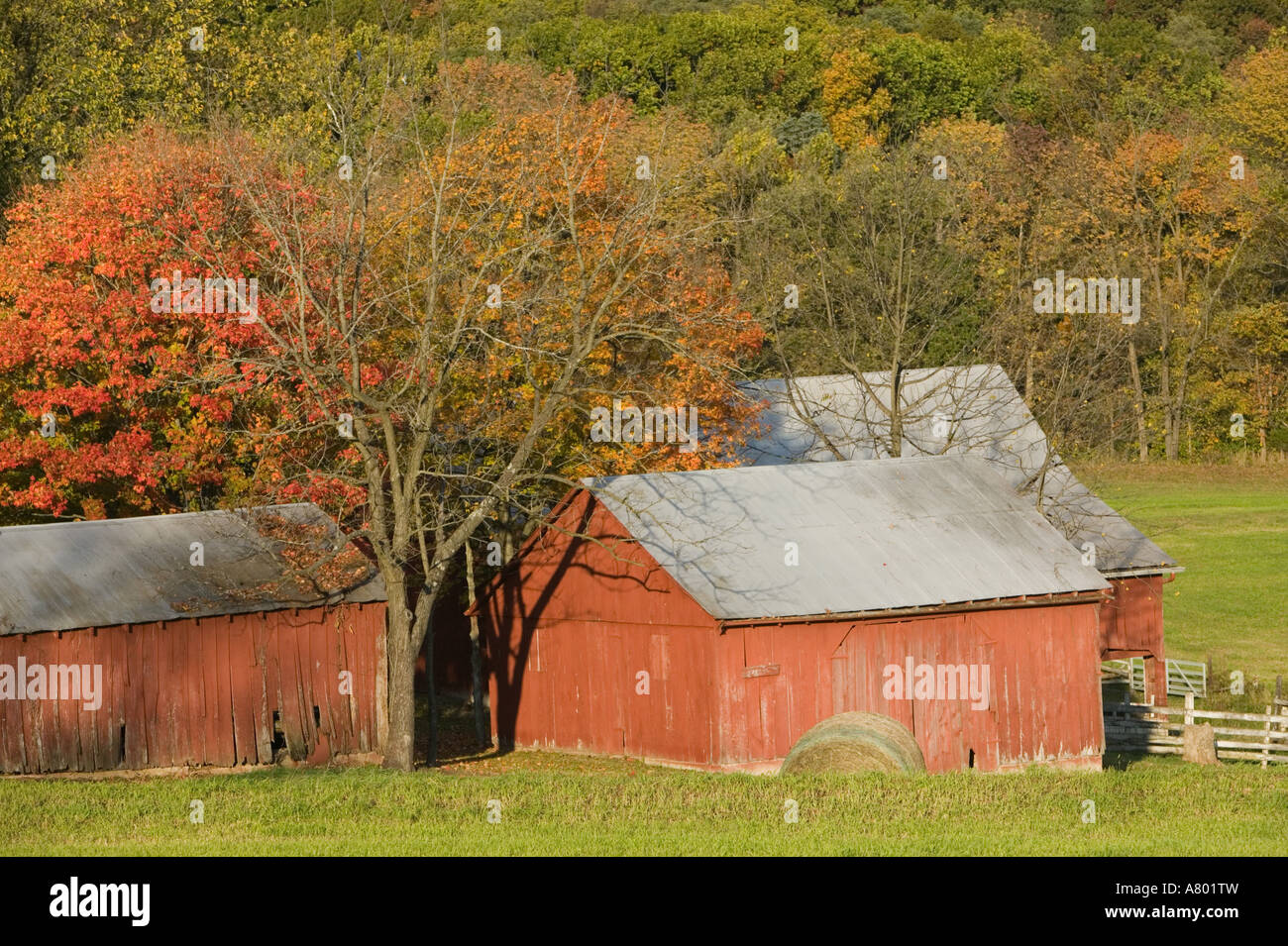 USA, Missouri, Matson: Missouri River Valley, farm and barn Stock Photo ...
