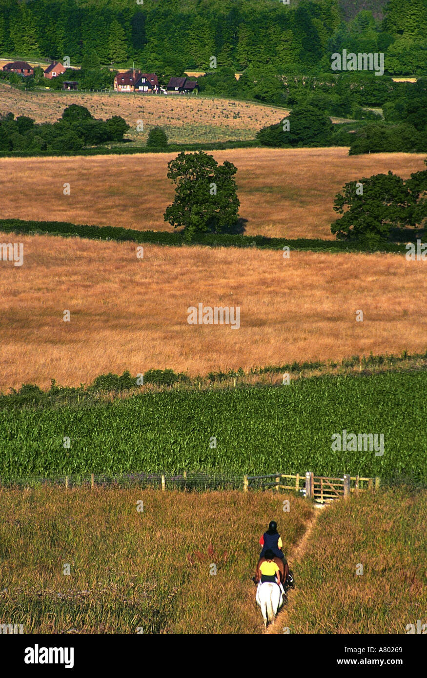 Turville buckinghamshire scenic hi-res stock photography and images - Alamy