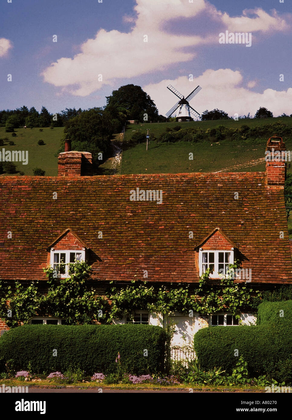 David martyn hughes hi-res stock photography and images - Alamy