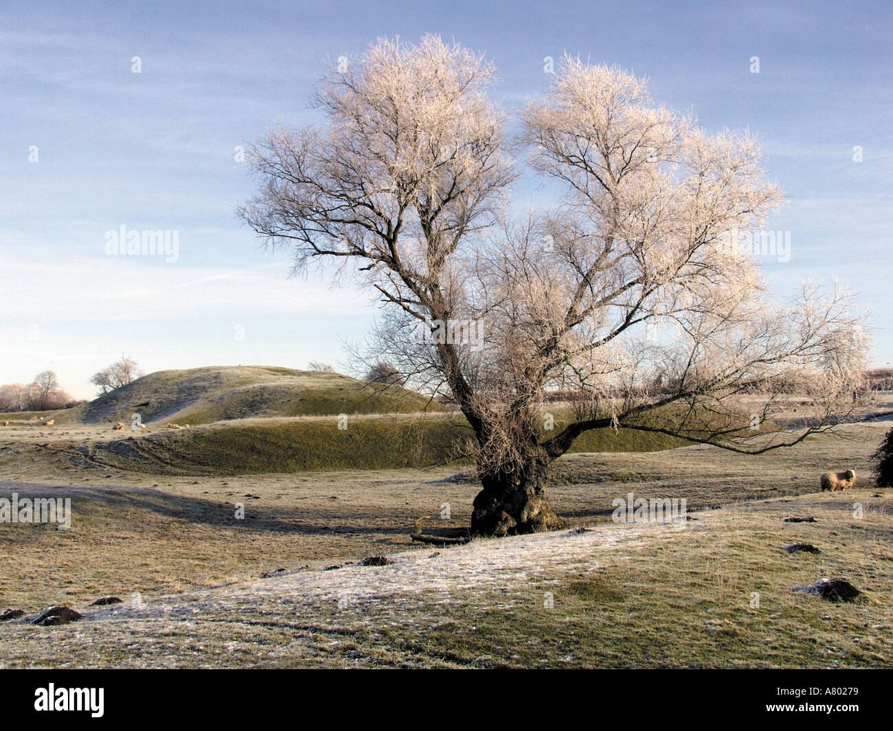 Motte and bailey hi-res stock photography and images - Alamy