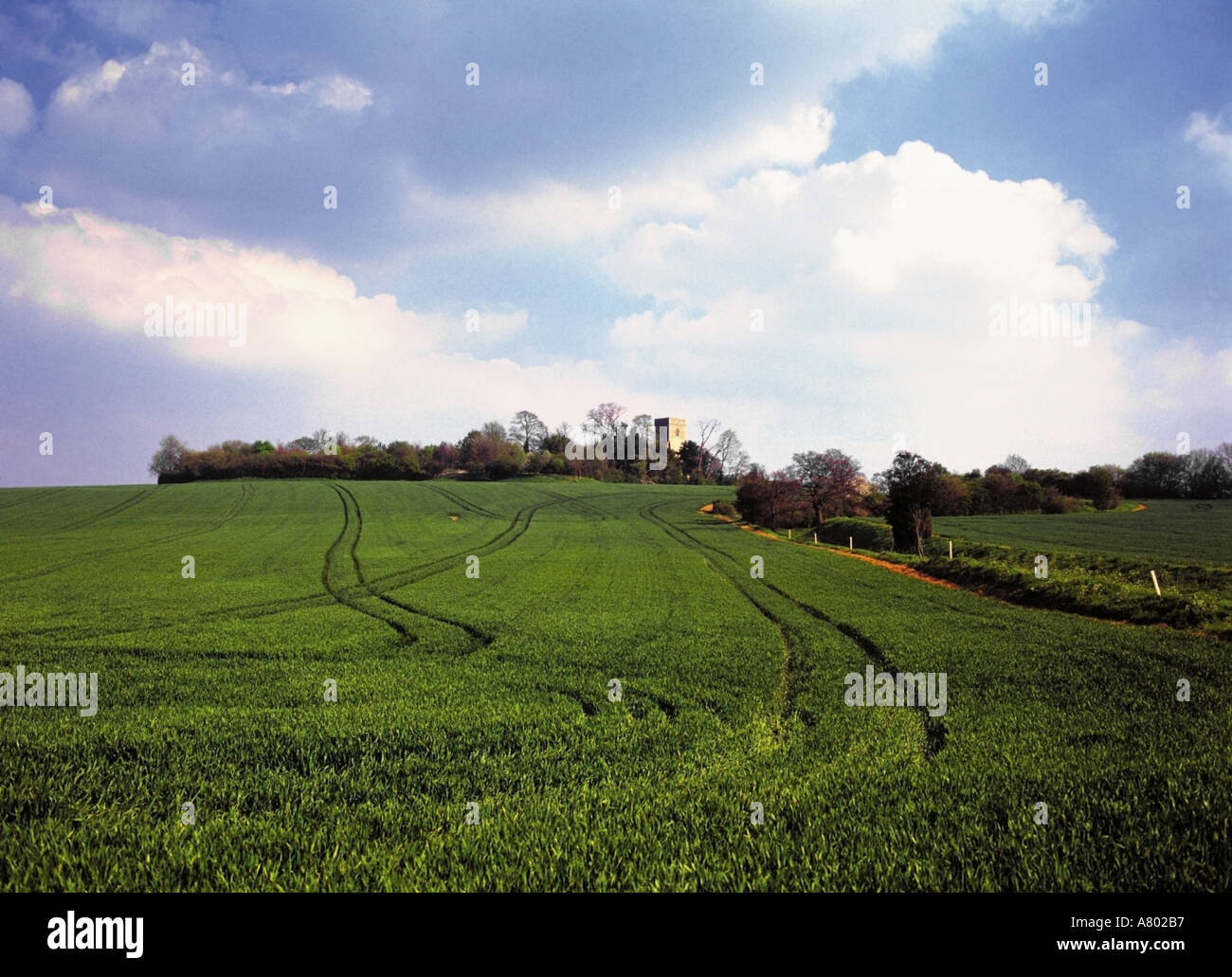 Lidgate hi-res stock photography and images - Alamy
