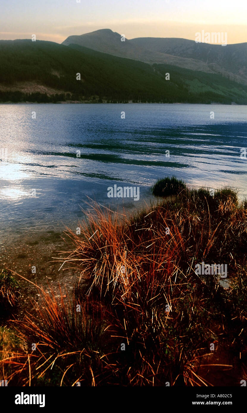 Llyn cwellyn reservoir hi-res stock photography and images - Alamy