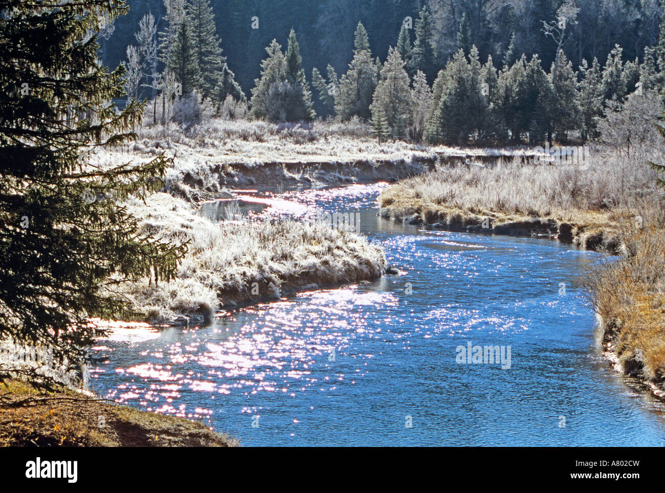 Frosty Morning on the Blackfoot River in Montana Stock Photo - Alamy