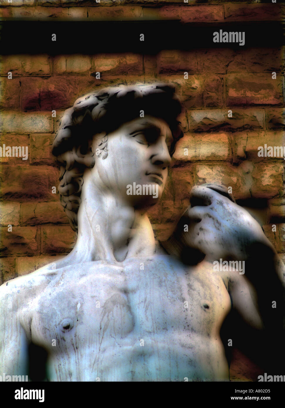 Detail of statue of David sculpted by Michaelangelo 16th Century ...