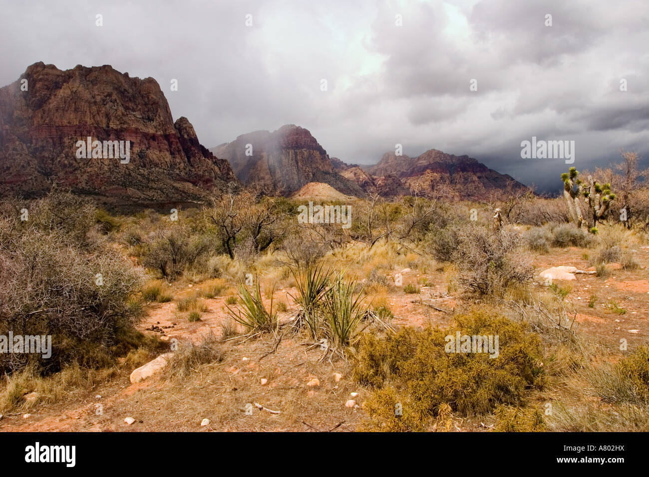 Red Rocks, Nevada Stock Photo - Alamy