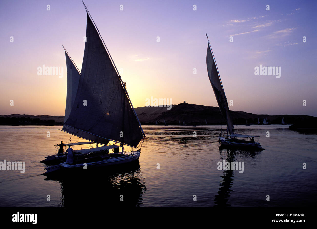 Egypt, Aswan, feluccas on the Nile river Stock Photo - Alamy