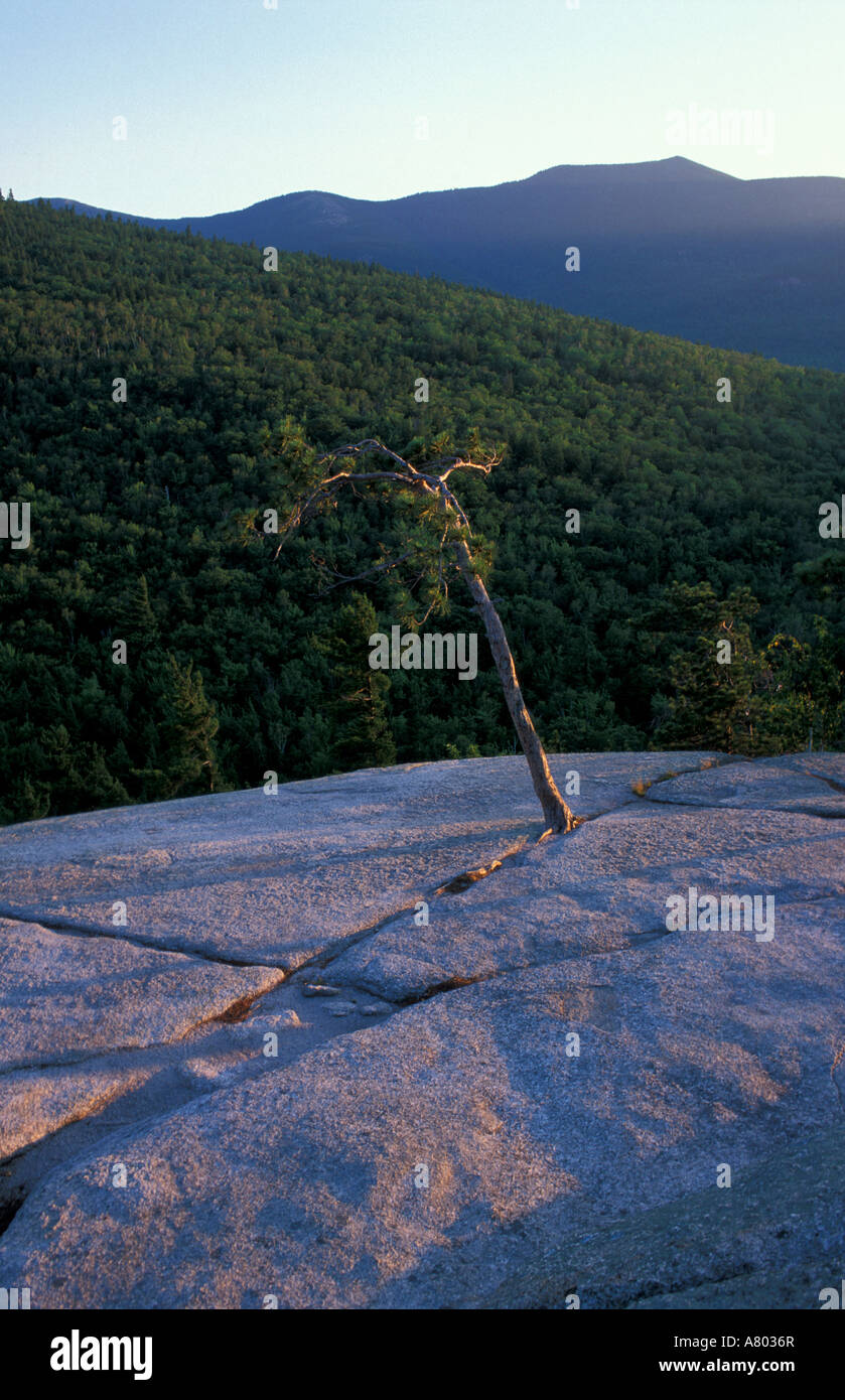 The view of North Moat Mountain from Cathedral Ledge in Echo Lake State ...