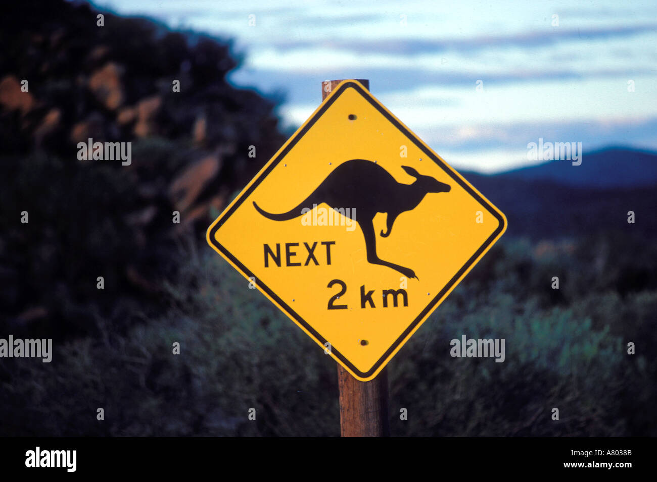 Road sign warning of kangaroos in outback australia Stock Photo - Alamy