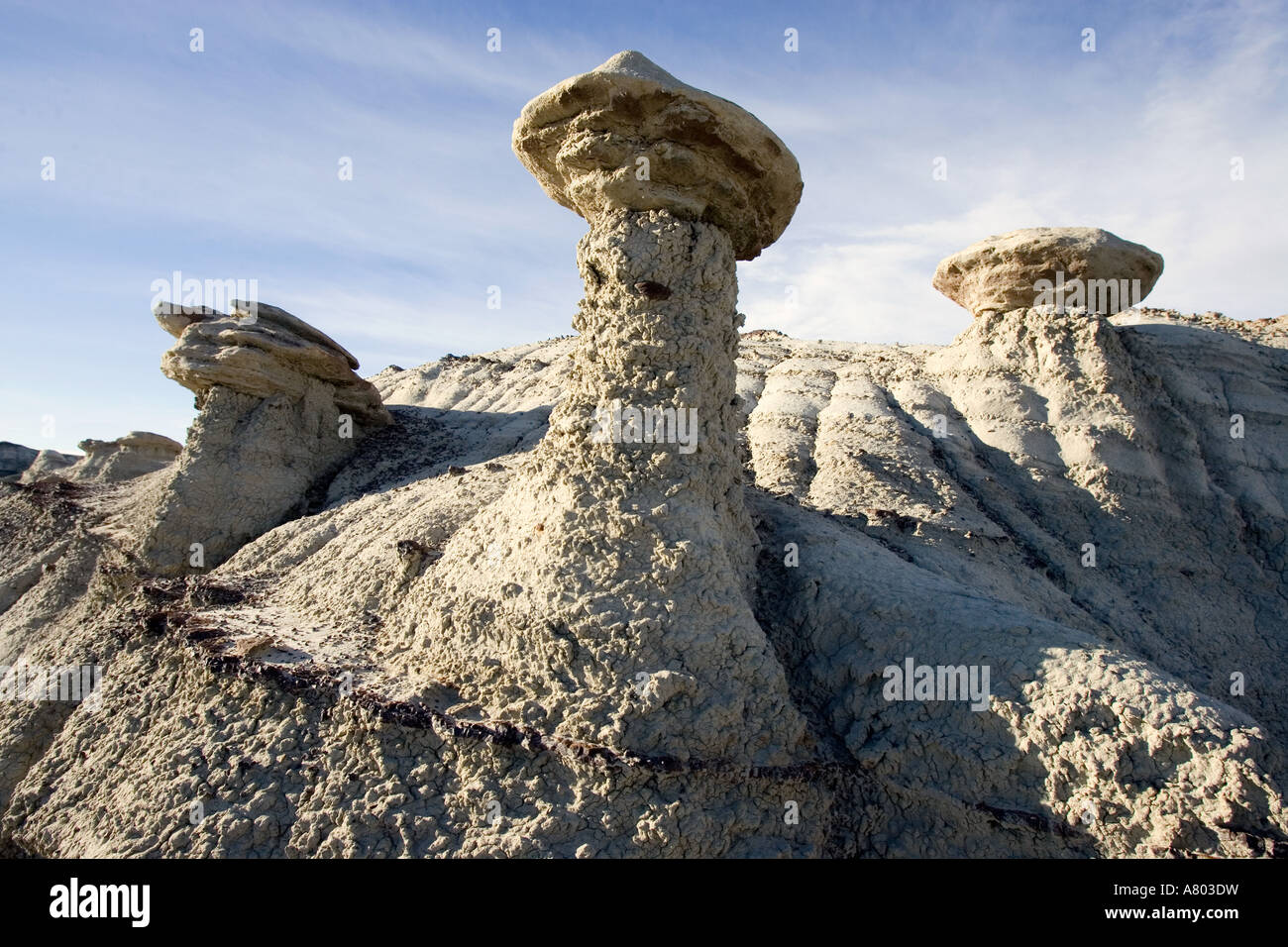 USA, New Mexico, Bisti Badlands. Bisti Wilderness Area, known as the ...