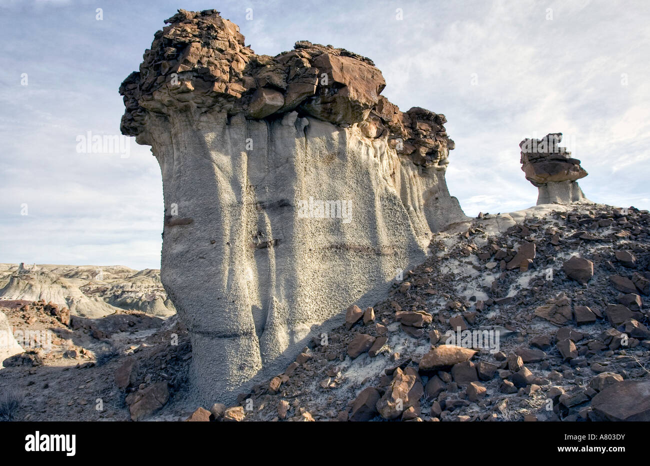 USA, New Mexico, Bisti Badlands. Bisti Wilderness Area, known as the ...