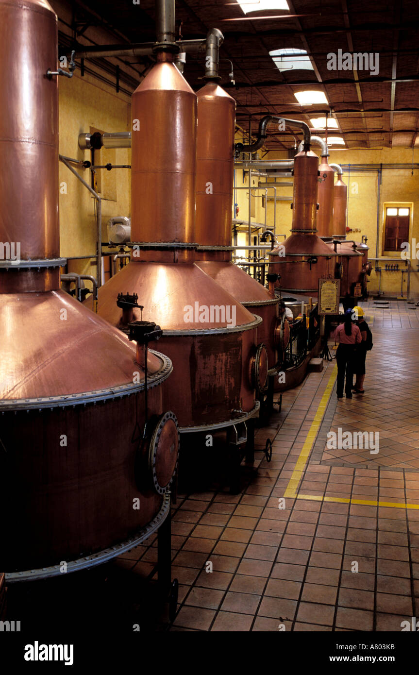 Mexico, Jalisco State, Jose Juervo tequila distillery Stock Photo - Alamy