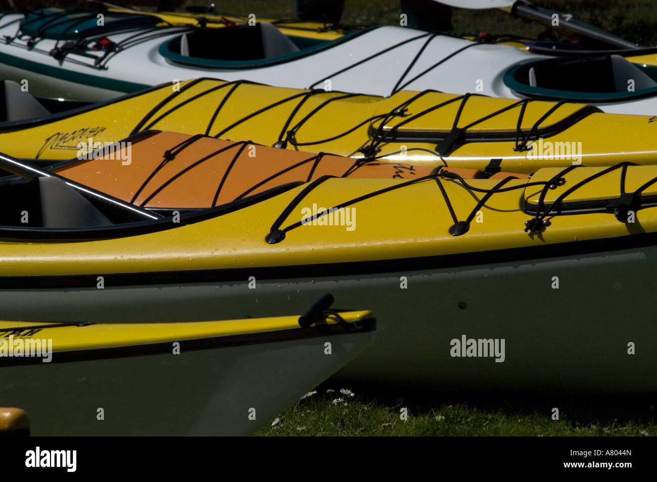 USA, Oregon, Portland, Assorted Sea Kayaks with Oars Stock Photo - Alamy