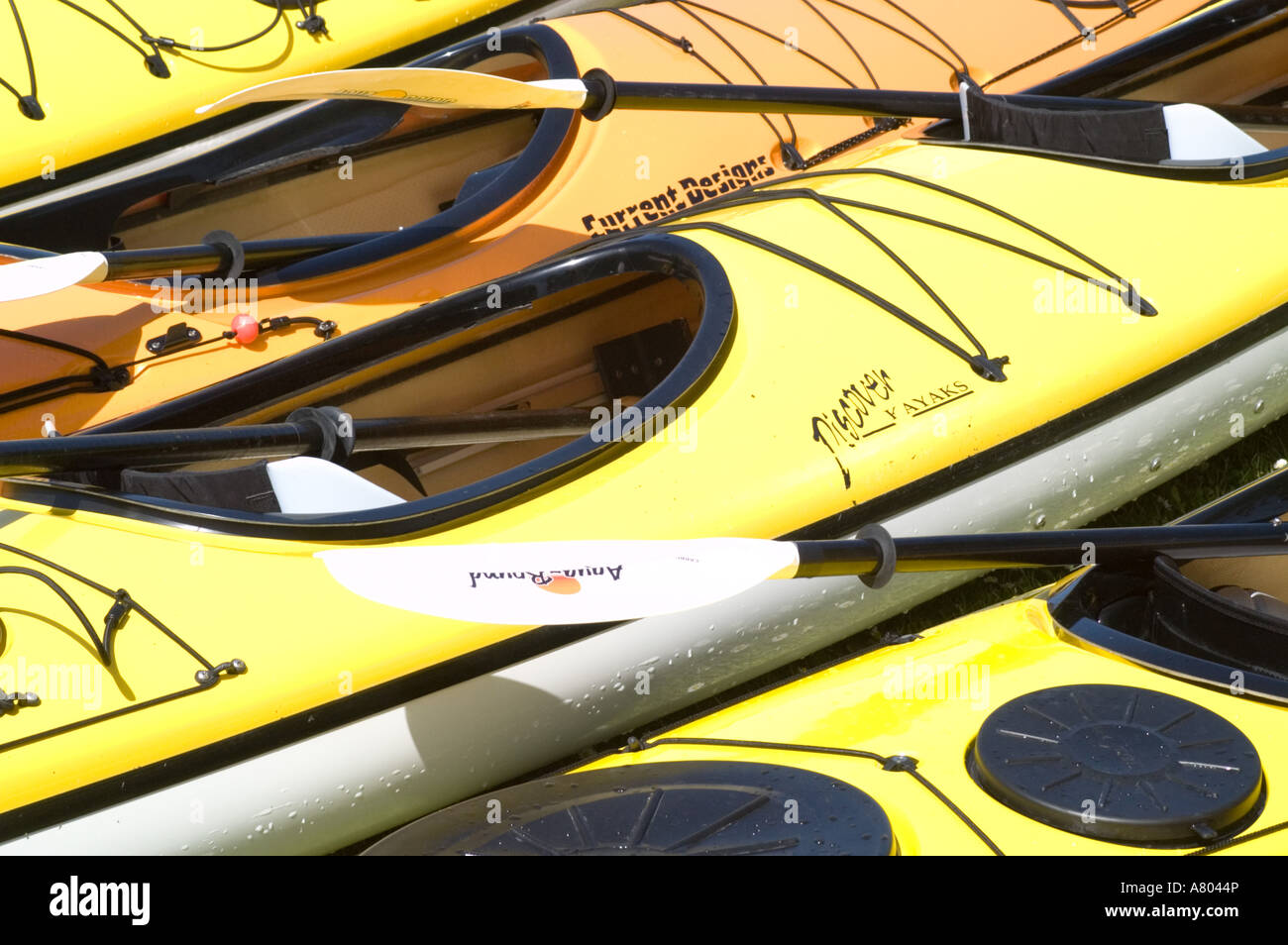 USA, Oregon, Portland, Assorted Sea Kayaks with Oars Stock Photo - Alamy