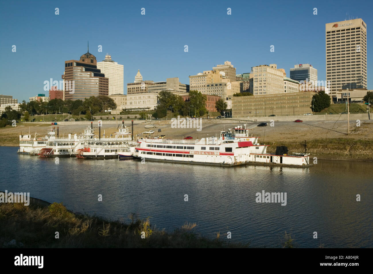 USA, Tennessee, Memphis, City View from Mud Island Stock Photo - Alamy