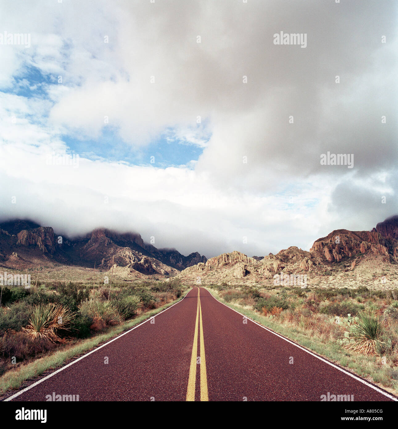 USA , Texas, Big Bend National Park. Road leading to the Basin in the ...
