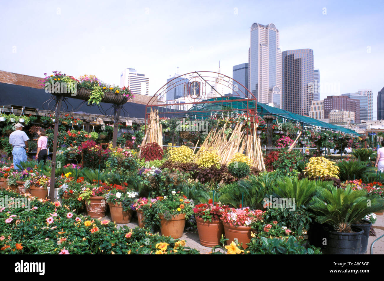 Texas dallas farmers market hi-res stock photography and images - Alamy