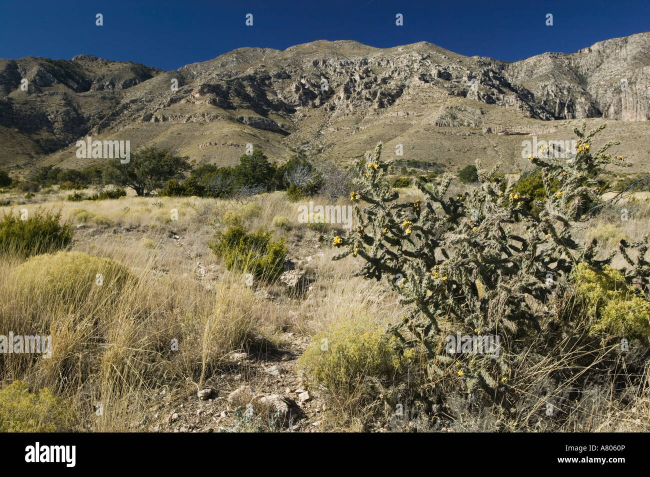 USA, TEXAS, Guadalupe Mountains National Park: Remote Texas Mountain ...