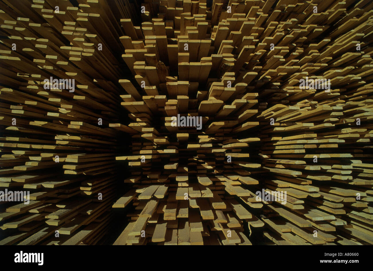 Cut lumber for house framing Stock Photo - Alamy