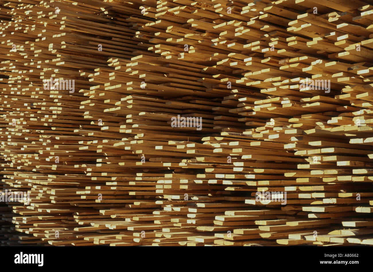 Cut lumber for house framing Stock Photo - Alamy