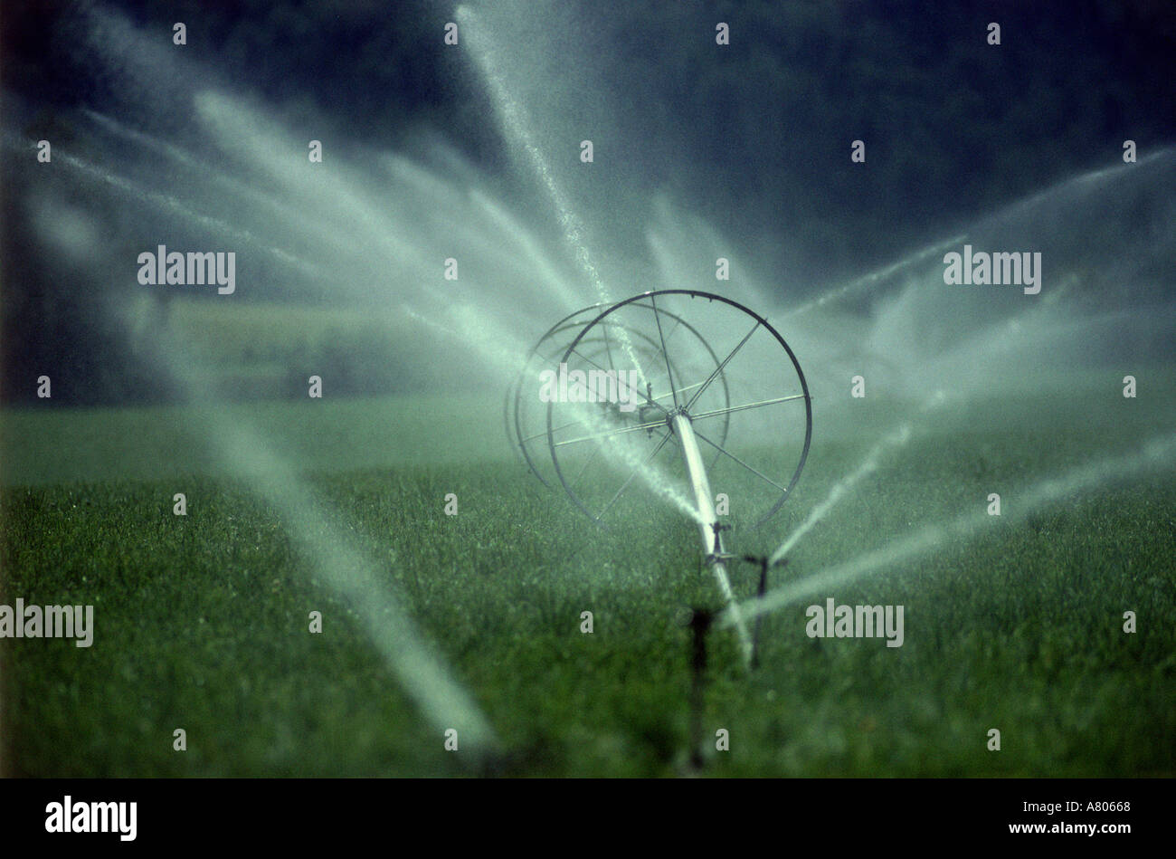 Watering places hi-res stock photography and images - Alamy