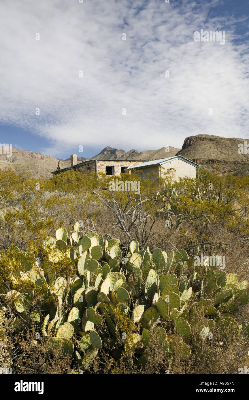 USA, TEXAS, Big Bend Area, Big Bend National Park: Ruins of the Homer ...