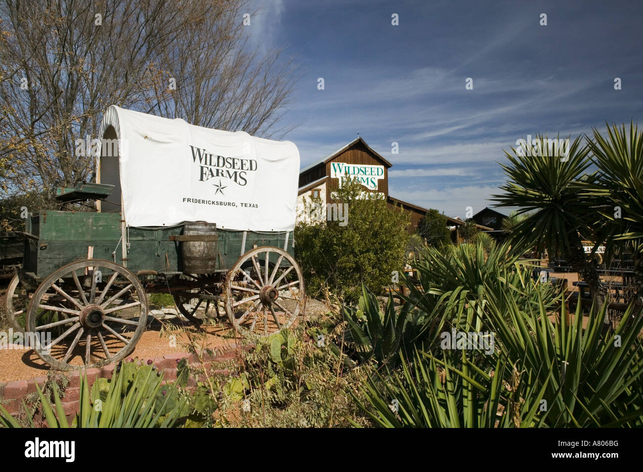 USA, TEXAS, Hill Country, Fredricksburg: Wildseed Farms / Texas ...