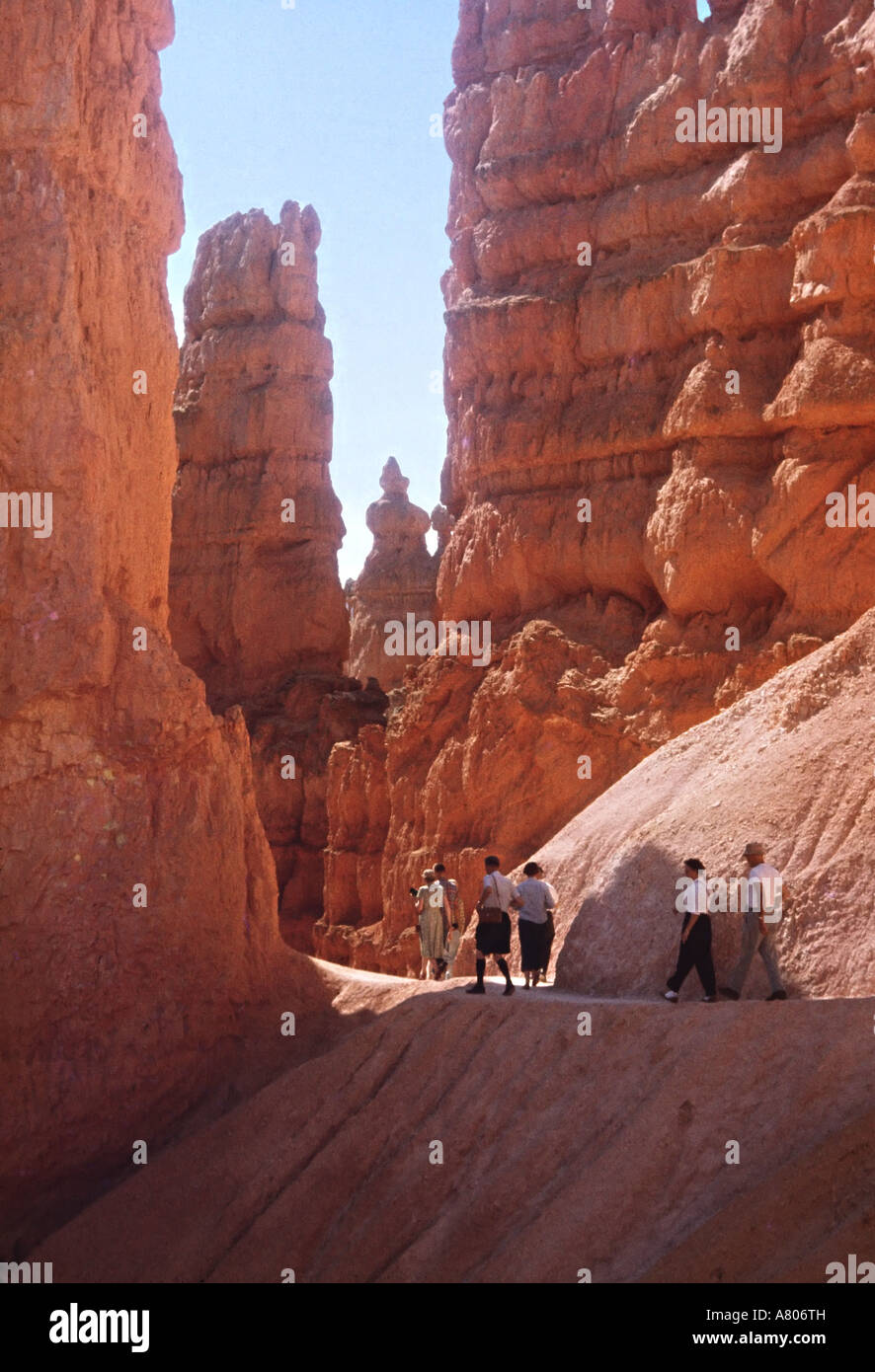 North America, USA, Bryce Canyon National Park. Tourists walking in ...