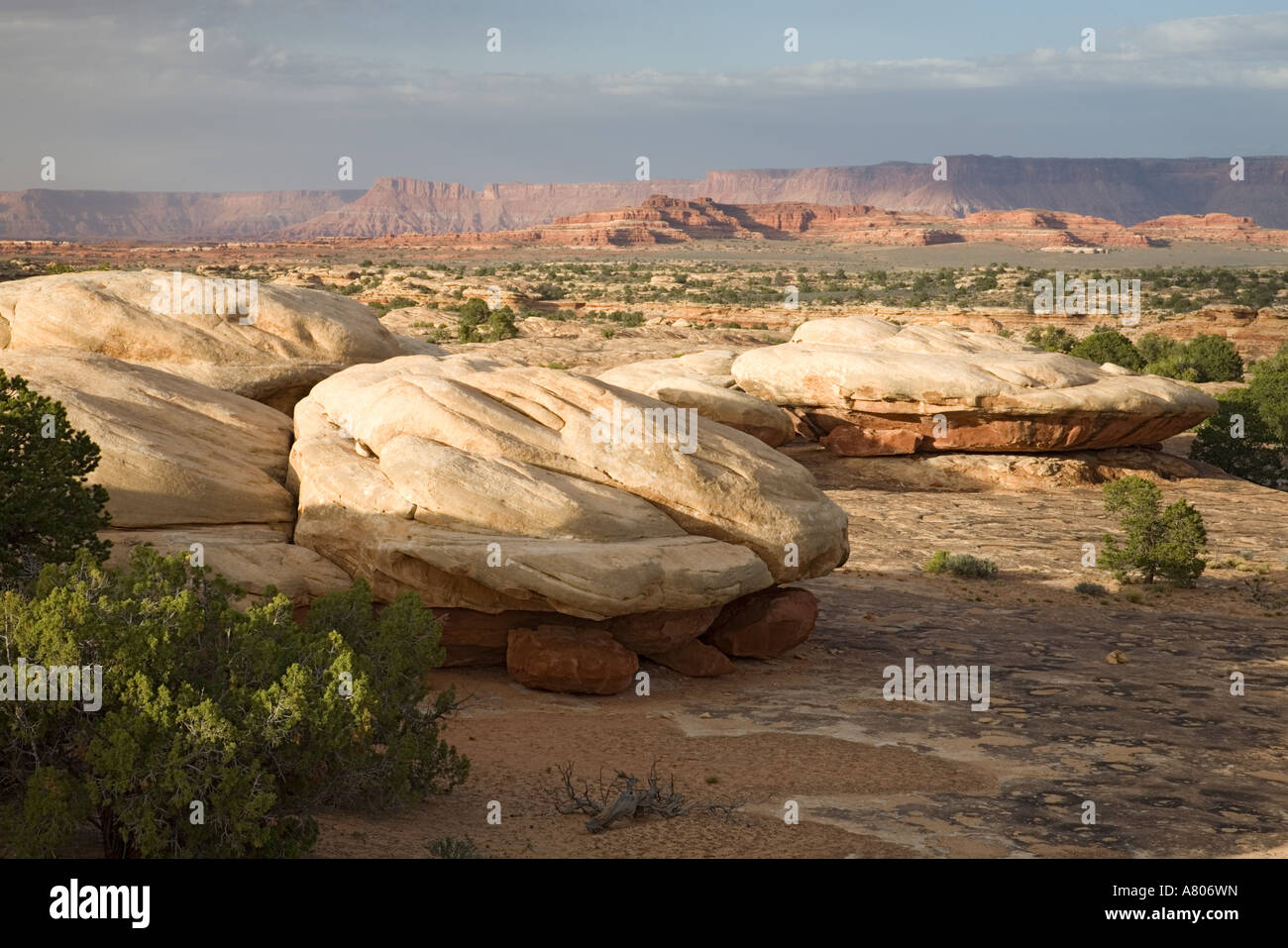 Utah, Canyonlands NP, The Needles, Canyons and grabens from Pothole ...