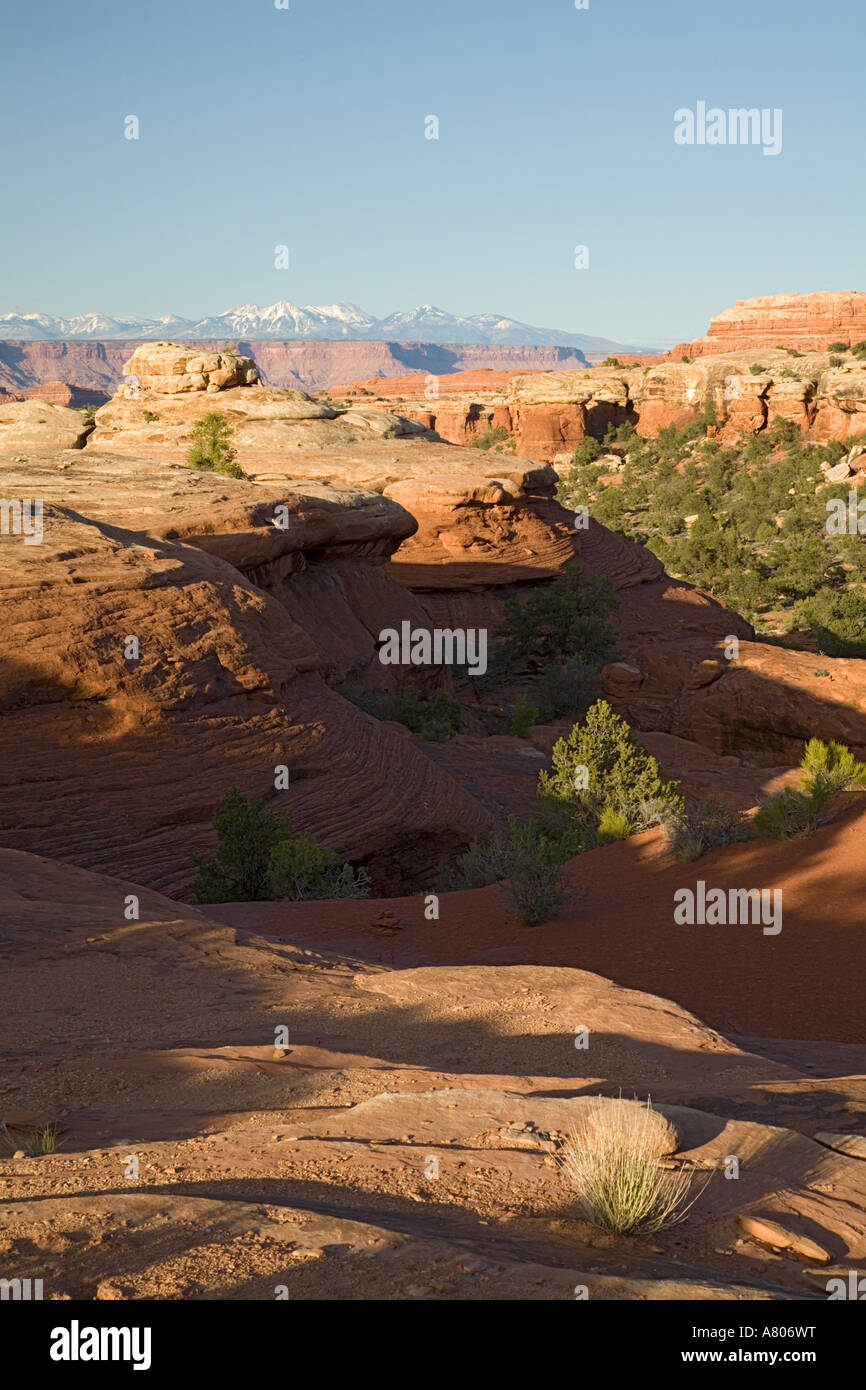 Utah, Canyonlands NP, The Needles, Canyons and grabens near Elephant ...