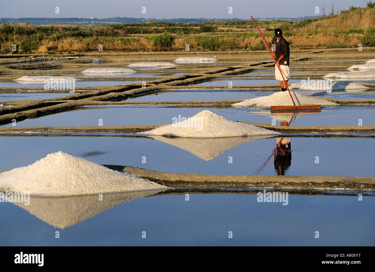 France, Loire Atlantique, Presqu'île de Guérande, saltmarshes, a ...