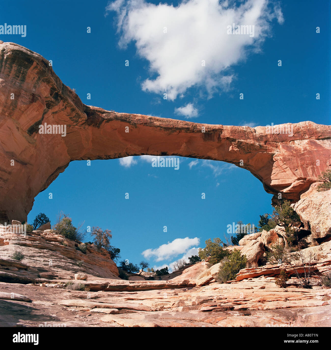 USA, Utah, Natural Bridges National Monument. Owachomo Bridge Stock ...
