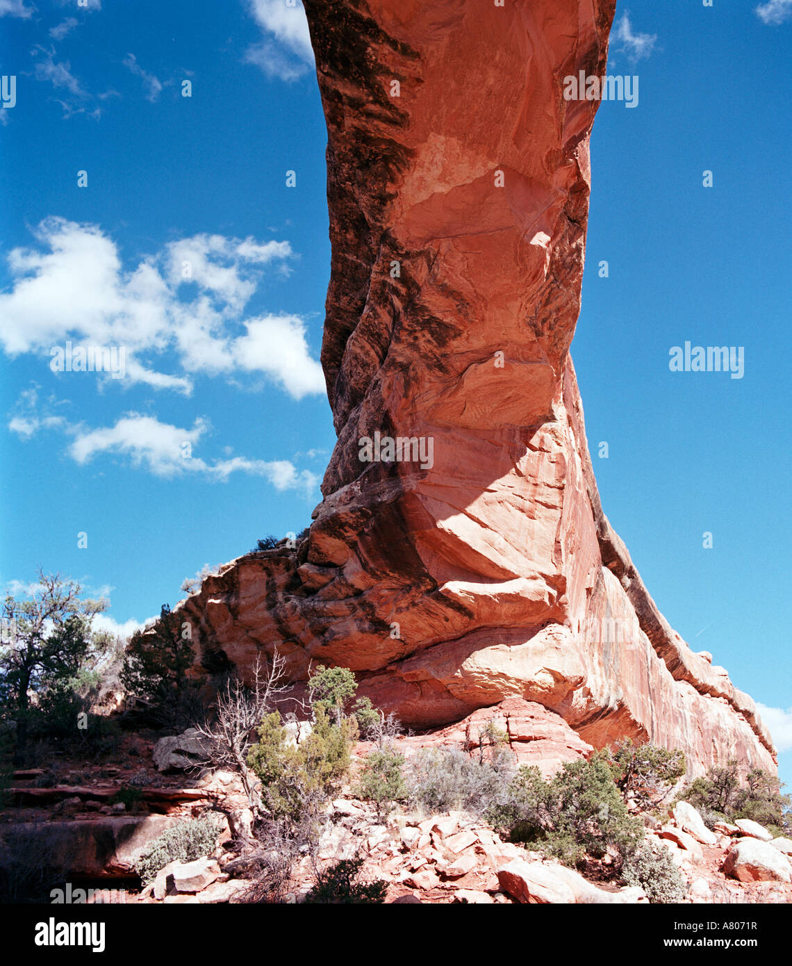 USA, Utah, Natural Bridges National Monument. Owachomo Bridge Stock ...
