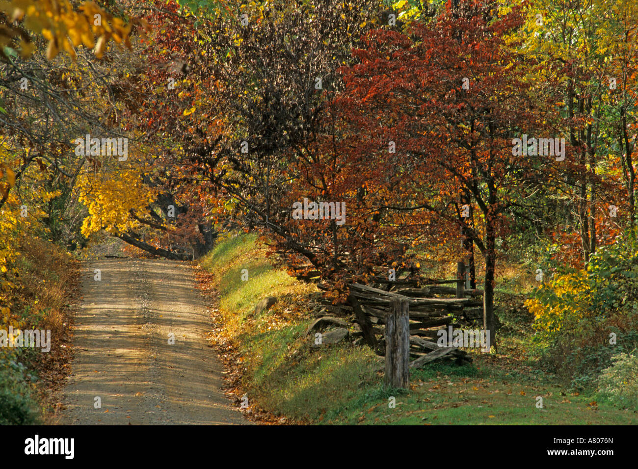 Loudoun road hi-res stock photography and images - Alamy